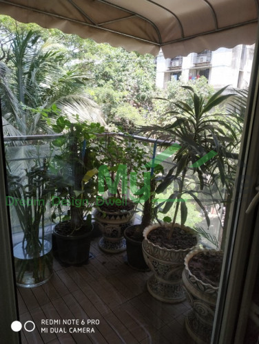 1000+ Balcony-Designs Photos | Best Design Ideas For Your Property